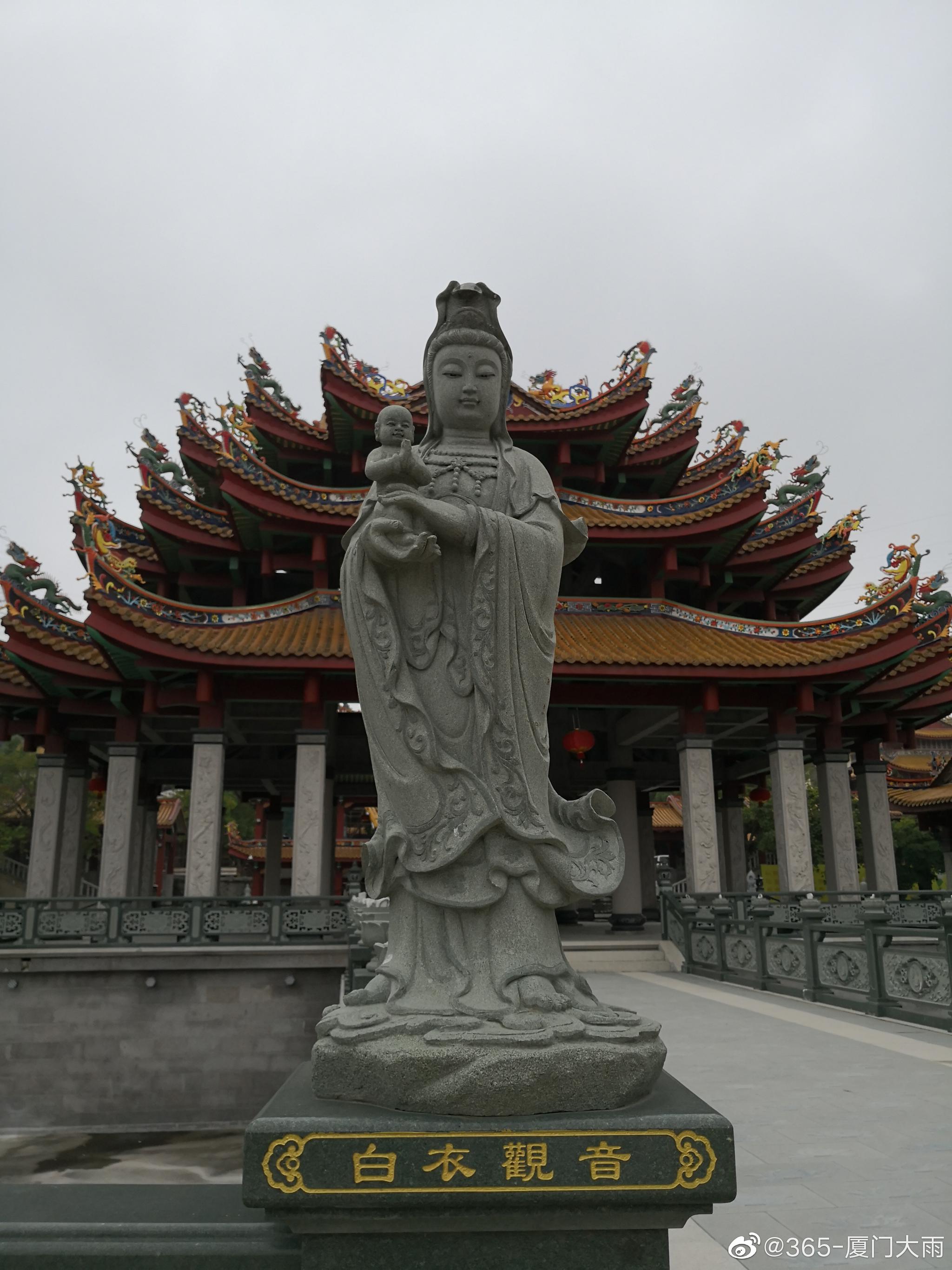 观自在菩萨，行深般若波罗蜜多时，照见五蕴皆空，度一切苦厄|舍利子|般若|波罗_新浪新闻