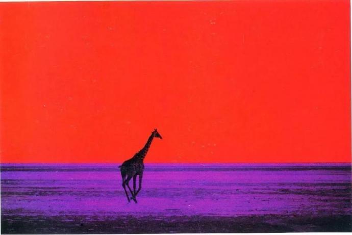 色彩 | 摄影师Pete Turner