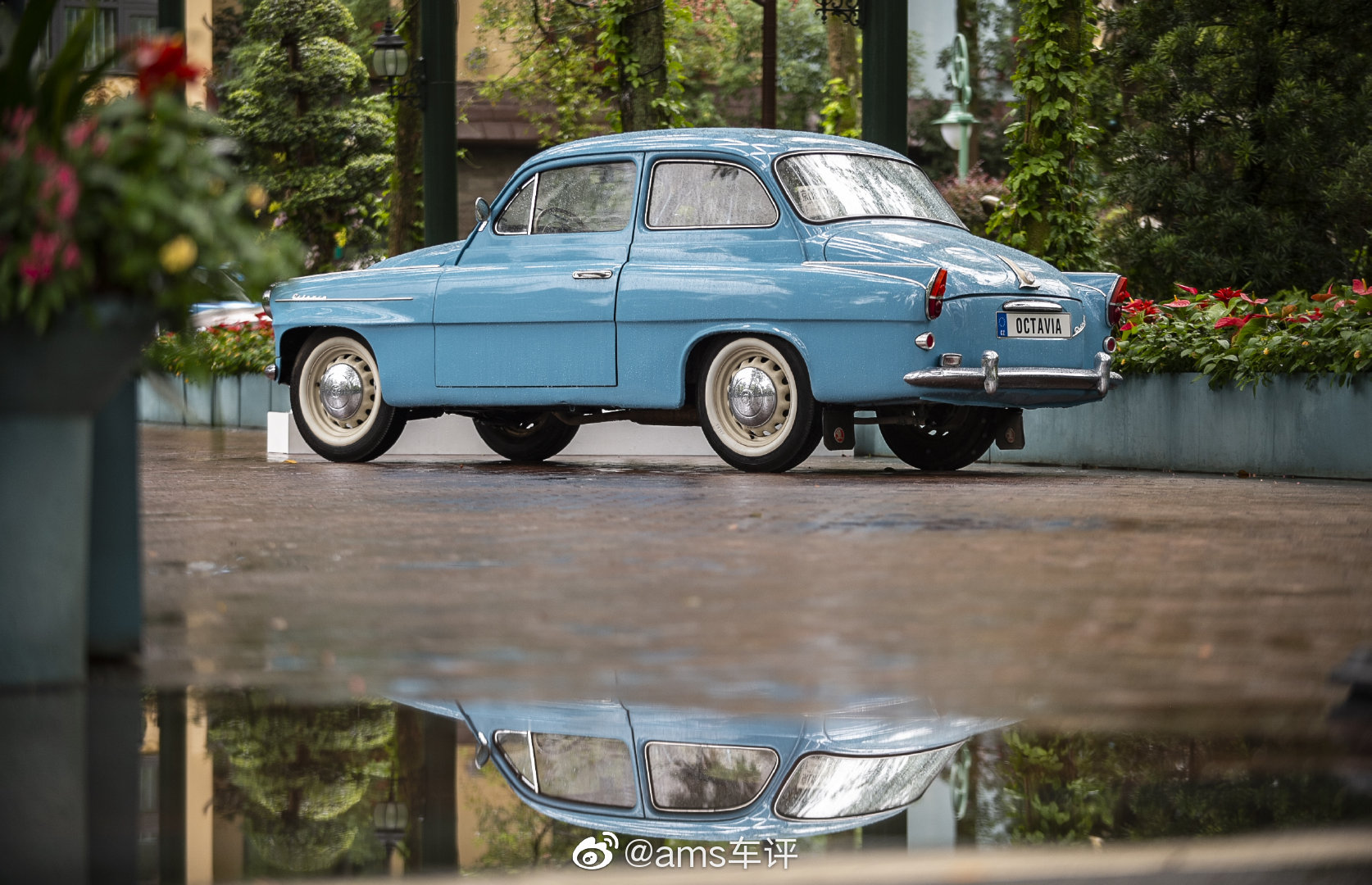 2019也许看着英文名字觉得Octa很陌生