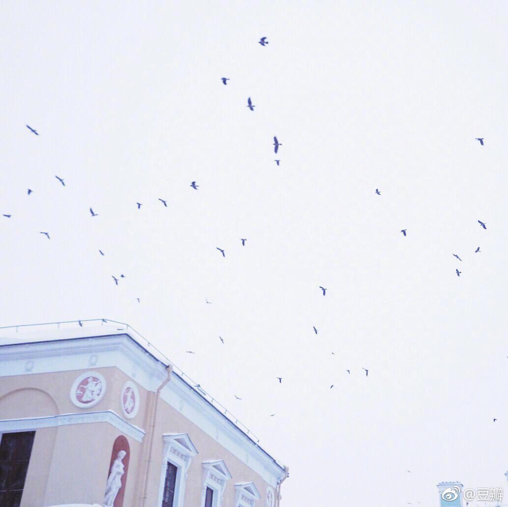 绿色的冬宫，蓝色的叶卡捷琳娜宫，黄色的彼得保罗要塞|彼得保罗要塞|叶卡捷琳娜|冬宫_新浪新闻