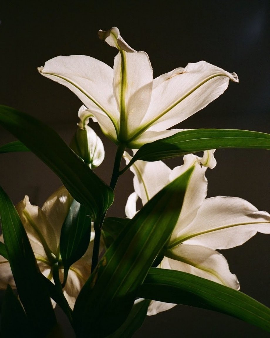 Nick Prideaux是一位澳大利亚纪实摄影师，现在生活在泰国曼谷|摄影师|纪实|曼谷_新浪新闻