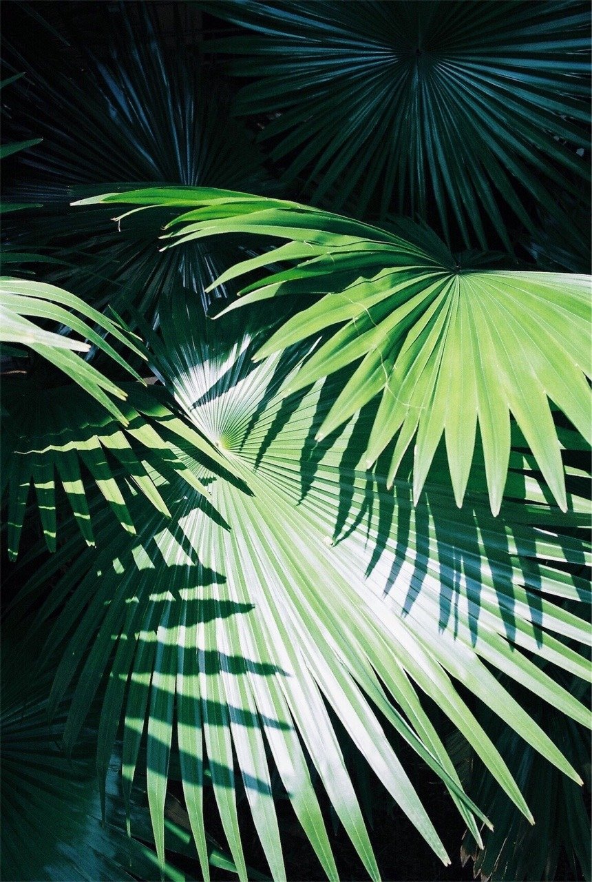 Nick Prideaux是一位澳大利亚纪实摄影师，现在生活在泰国曼谷|摄影师|纪实|曼谷_新浪新闻