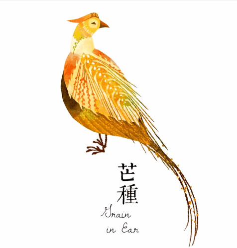 Cinyee Chiu的二十四节气设计插画
