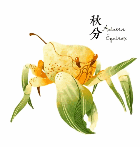 Cinyee Chiu的二十四节气设计插画