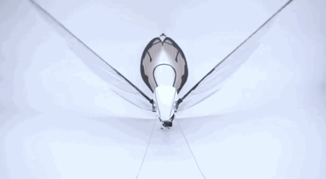 不用螺旋桨不用喷气，形似蝴蝶，仿生飞行器再出新款！