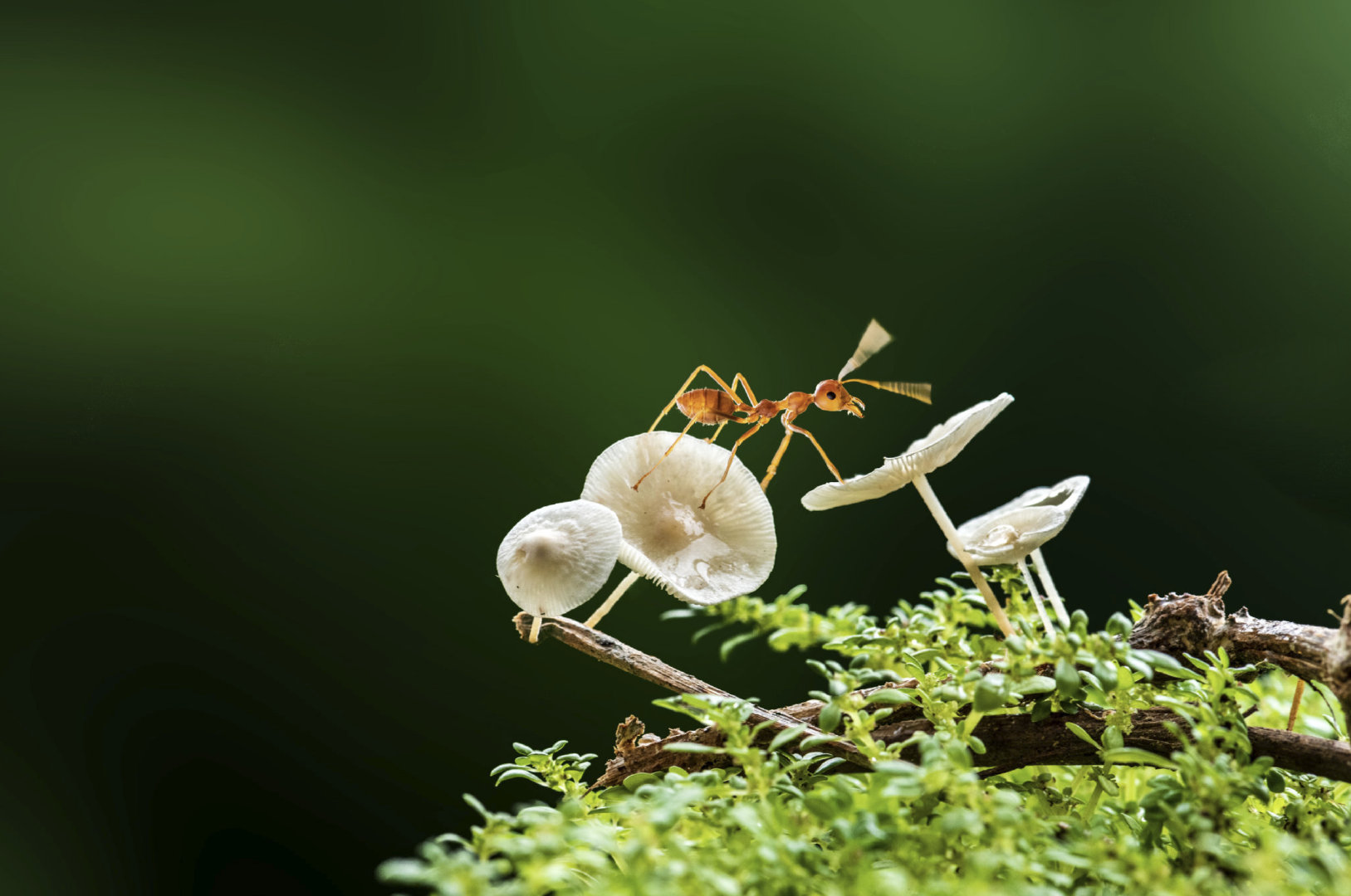 大家在500PX部落中的好作品来了！每天的精彩都不一样。多交流