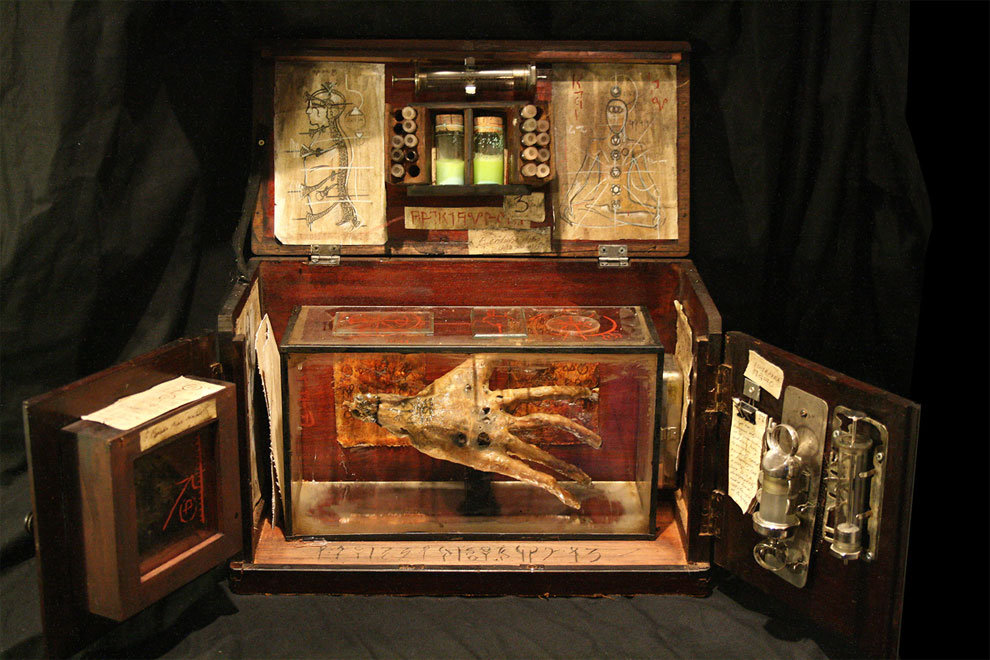 发现一个很有趣的网站：Merrylin Cryptid 博物馆_新浪新闻