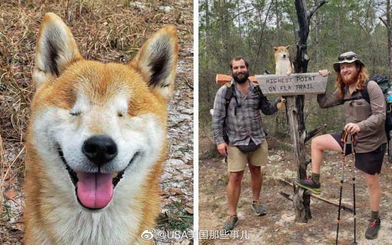 美国佛罗里达州29岁男子Kyle Rohrig是一名作家，喜欢徒步旅行|狗狗|爱犬|主人_新浪新闻