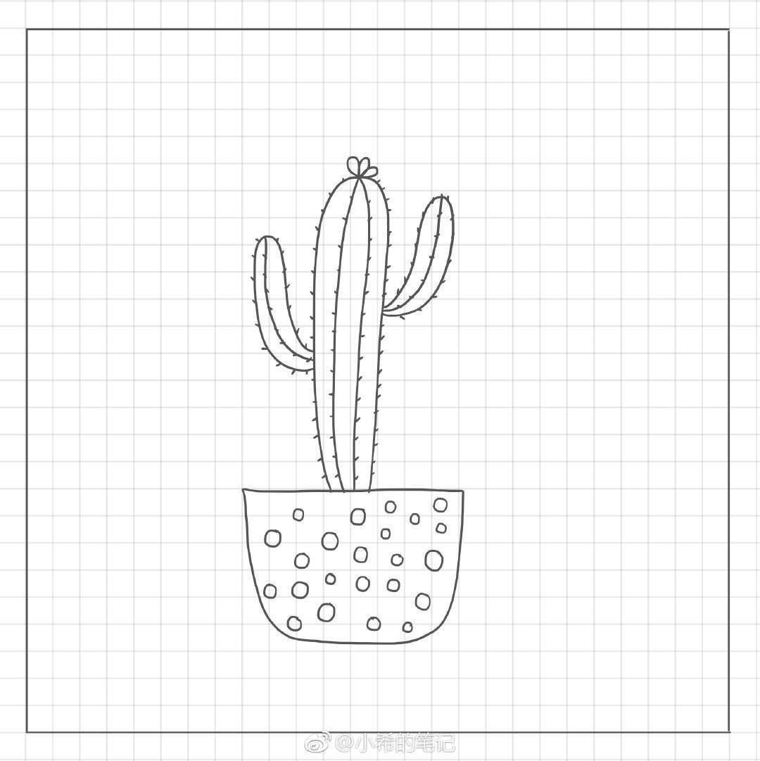 一组简单的仙人掌🌵🌵🌵简笔画 投稿作者:@小希的笔记|简笔画|仙人掌|笔记_新浪新闻