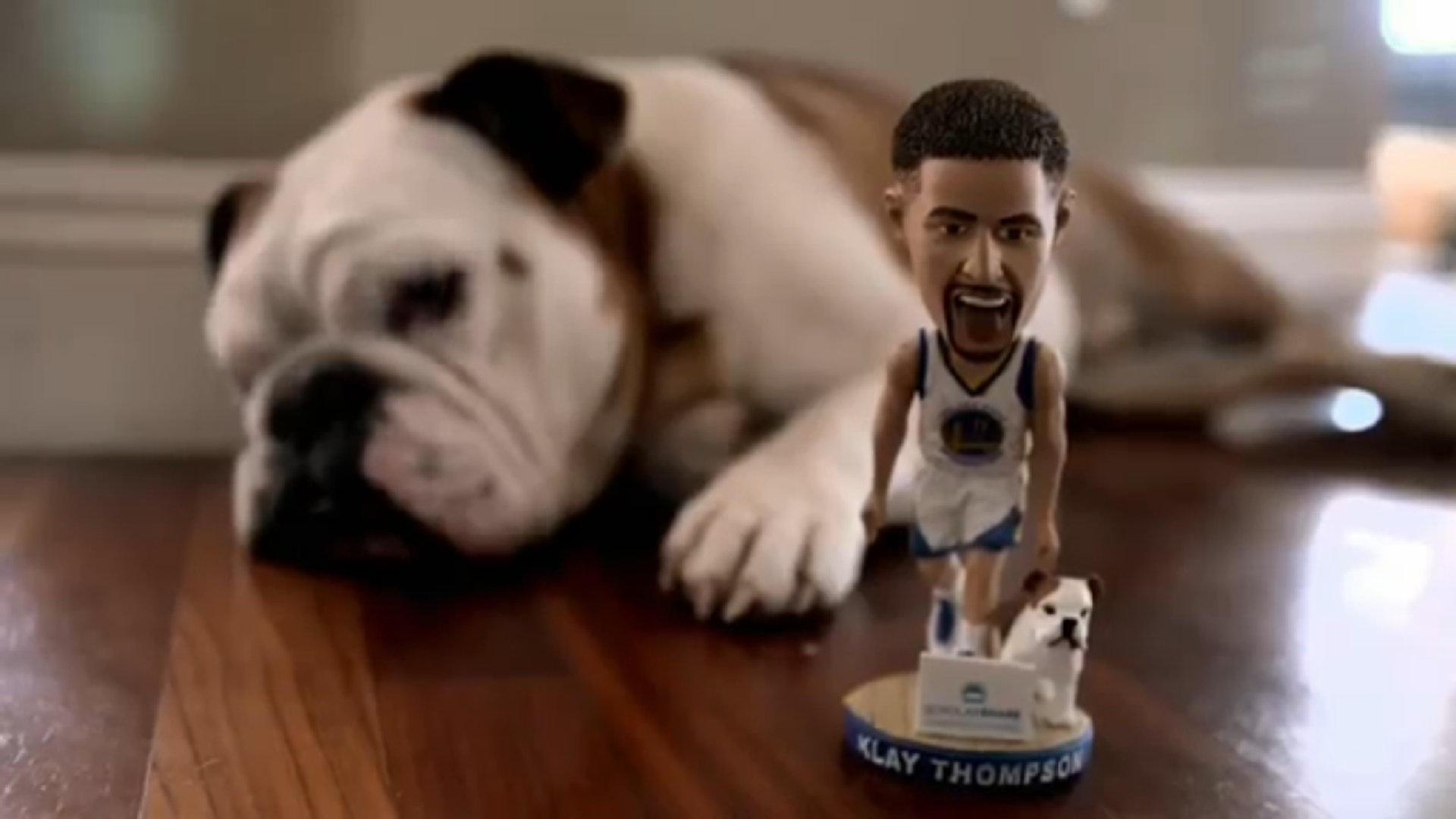 休赛期的克莱汤普森，美景在前，美女在侧，唯独不见rocoo|克莱|赛期|汤普森_新浪新闻