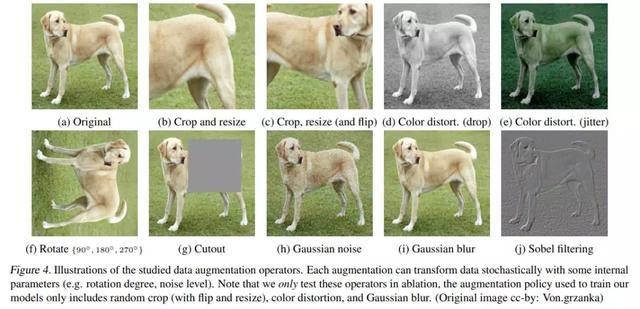 Hinton组力作：ImageNet无监督学习最佳性能一次提7%,媲美监督学习|数据集|谷歌_新浪新闻