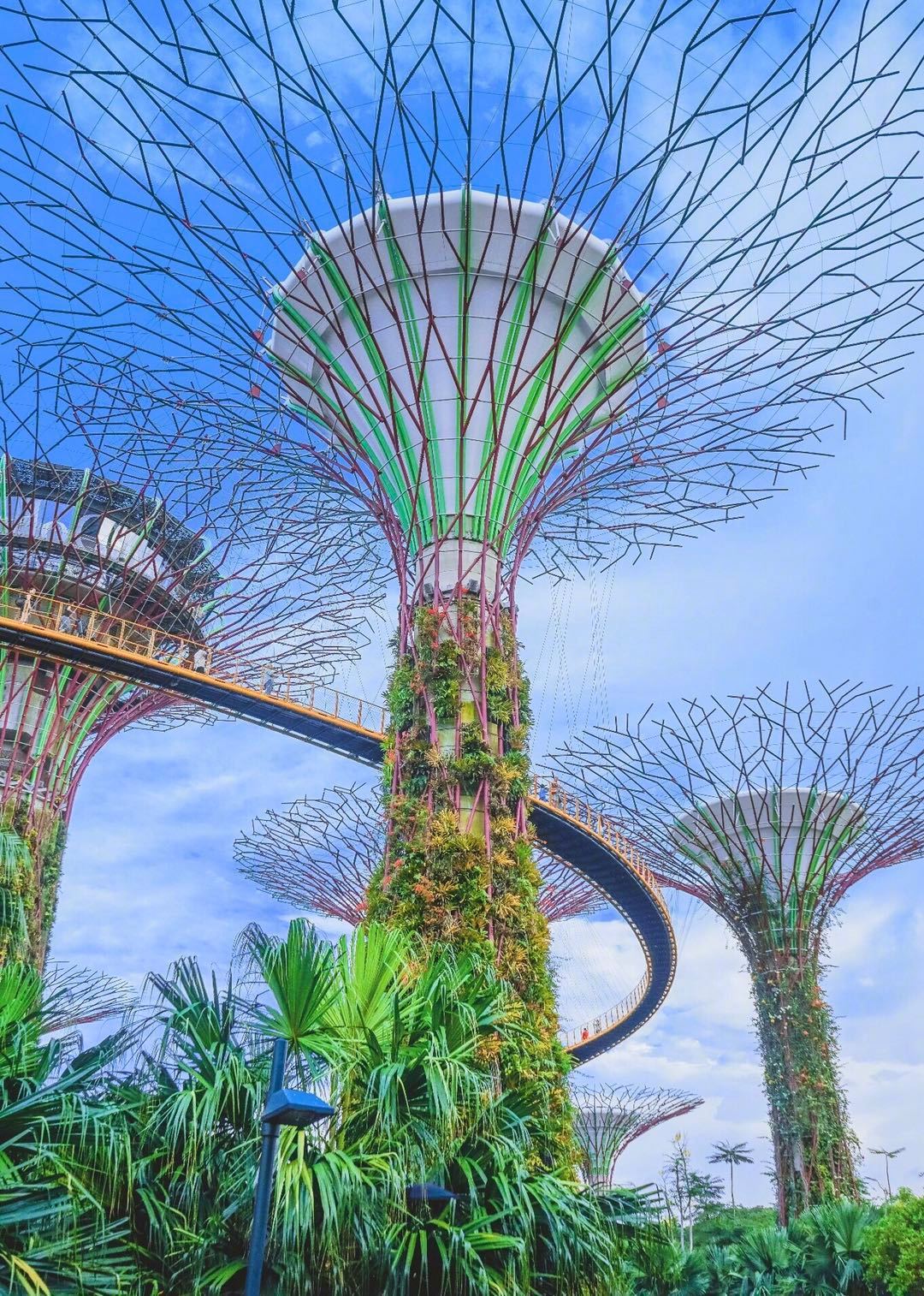 新加坡滨海湾花园丨新加坡市中心的超级花园