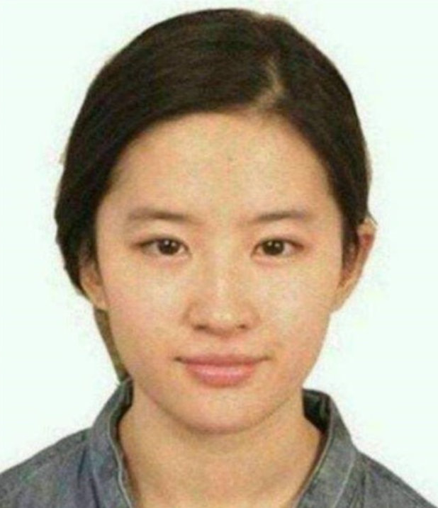 一组女明星证件照，刘诗诗和刘亦菲气质太好了吧！明星果然是明星|证件照|明星|刘亦菲_新浪新闻