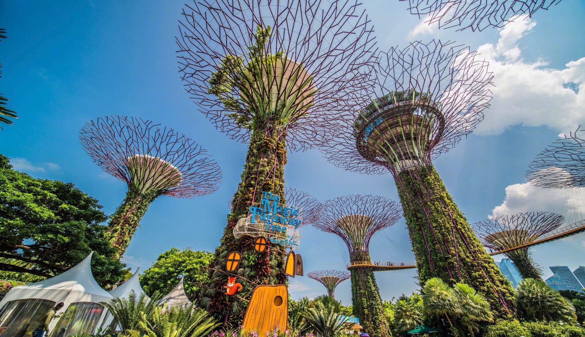 新加坡滨海湾花园丨新加坡市中心的超级花园