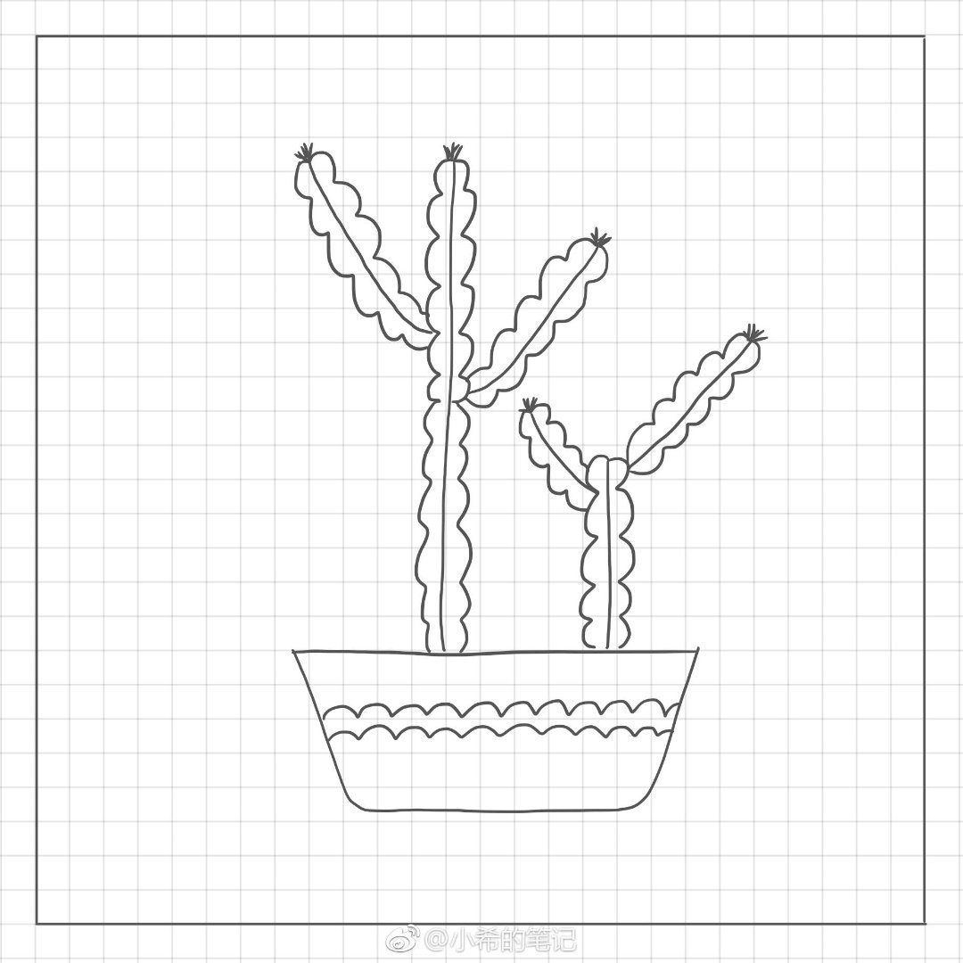 一组简单的仙人掌🌵🌵🌵简笔画 投稿作者:@小希的笔记|简笔画|仙人掌|笔记_新浪新闻