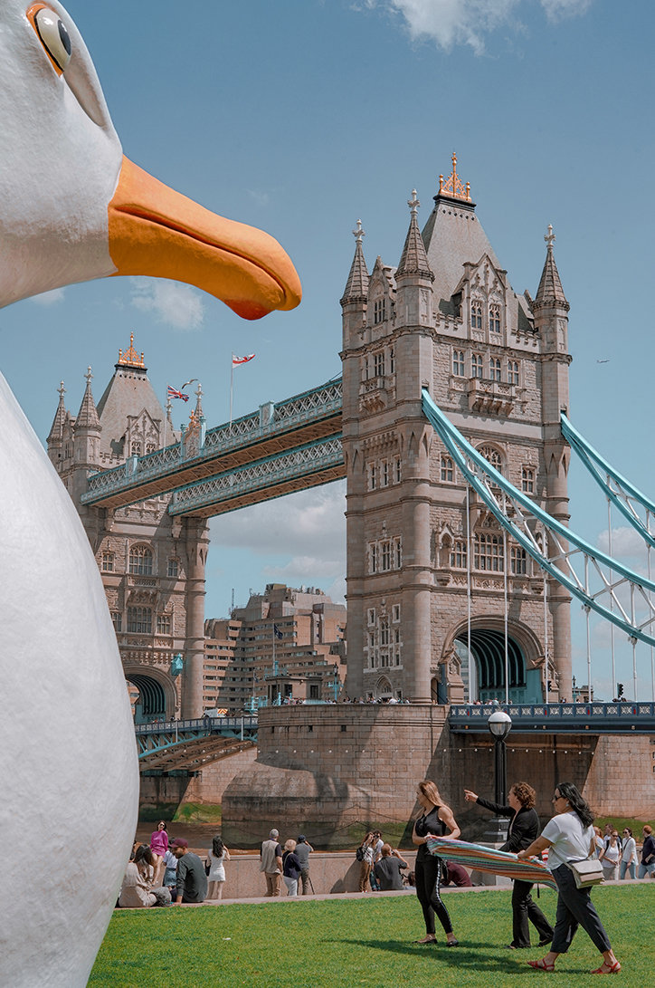 一个由鸟类统治的世界英国摄影师 Josh Edgoose|鸟类|摄影师|英国_新浪新闻