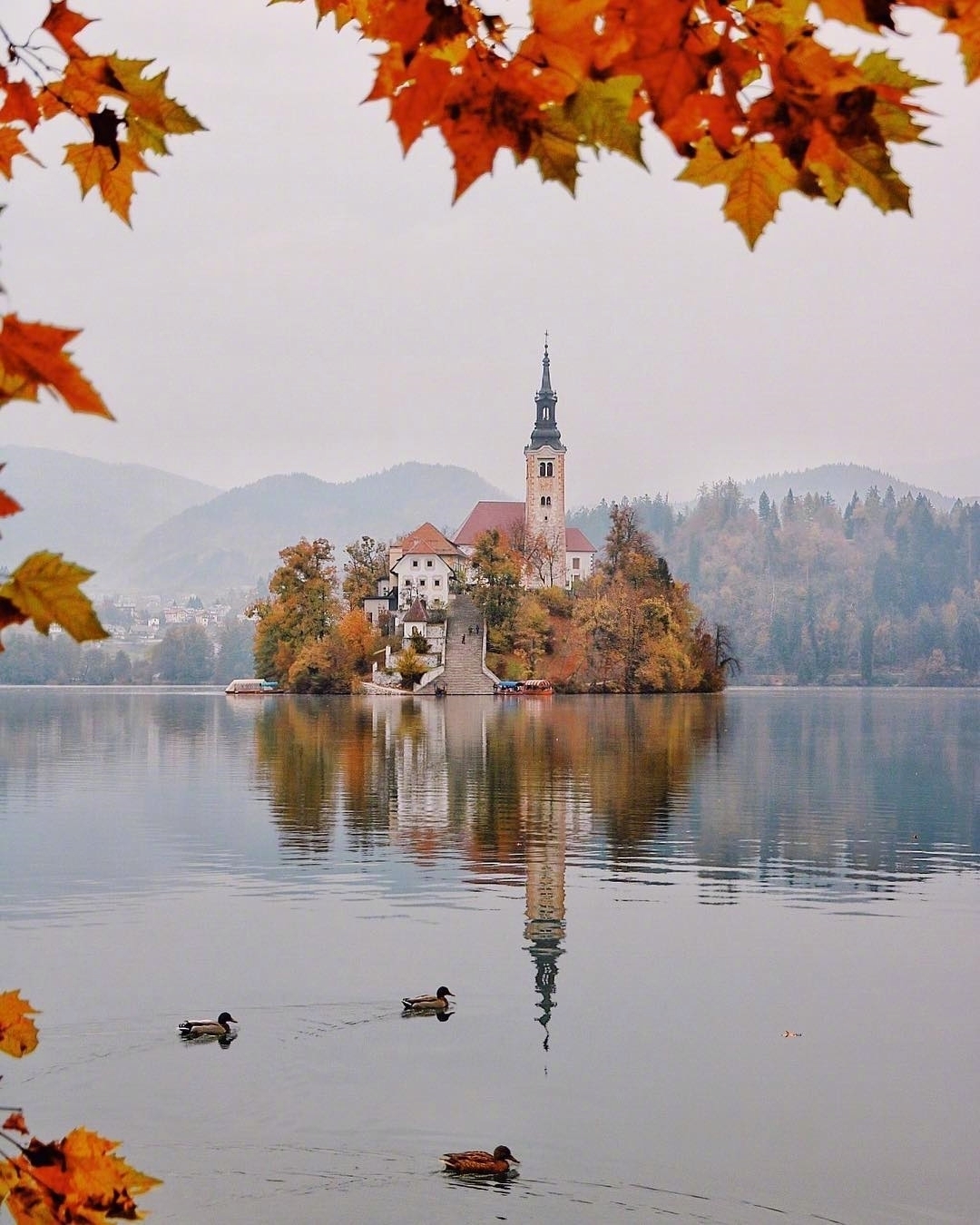 奧地利 Lake Bled 碧湖