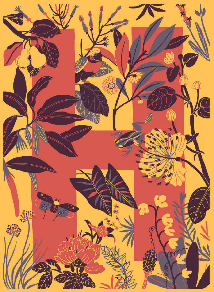 意大利插画师 André Ducci 一组字母插画设计|插画师|字母|意大利_新浪新闻