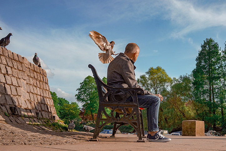 一个由鸟类统治的世界英国摄影师 Josh Edgoose|鸟类|摄影师|英国_新浪新闻