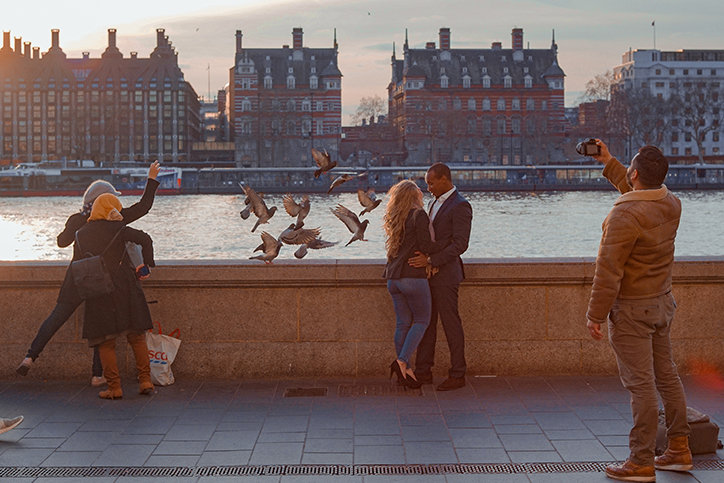 一个由鸟类统治的世界英国摄影师 Josh Edgoose