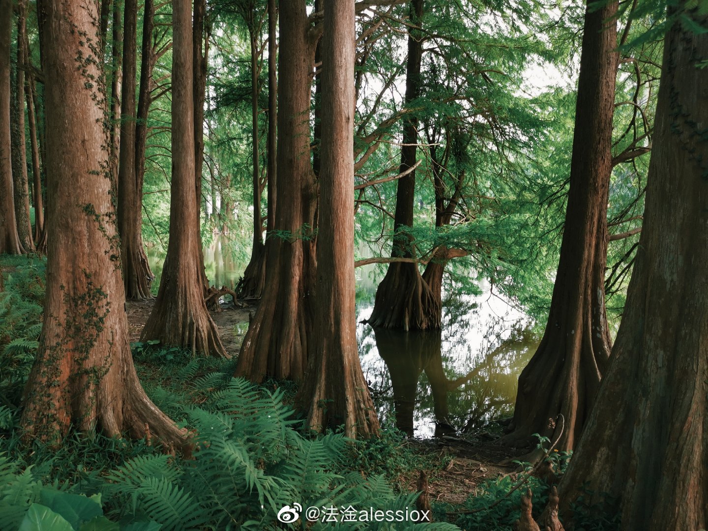 公众号：chaoqi_images约拍wx：alessiofotoInstagram: chaoqi_xu