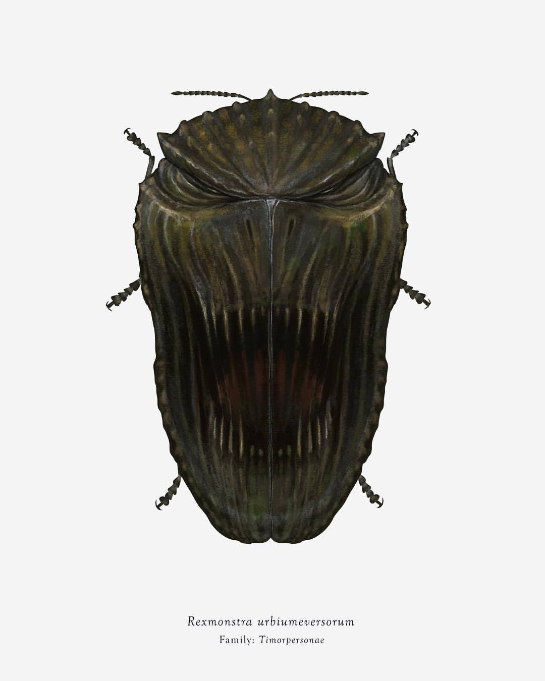 流行文化 And 昆虫artist:richard Wilkinson