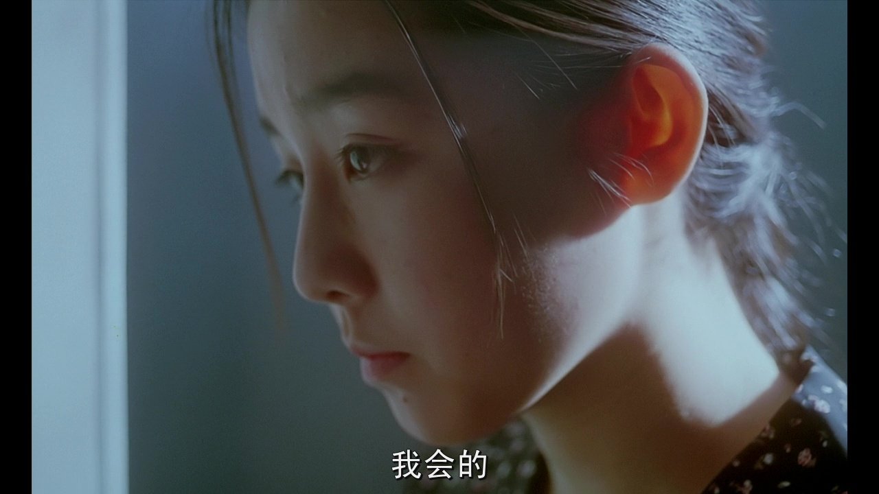 🎬燕尾蝶 スワロウテイル (1996)导演&编剧: 岩井俊二