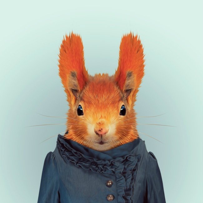 动物园集体肖像照 丨作者：Yago Partal|动物园|集体|肖像照_新浪新闻