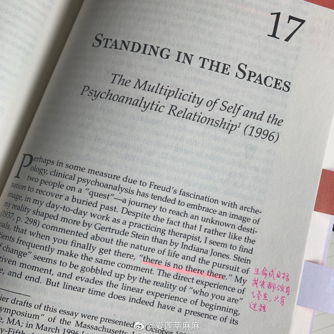Standing in the spaces by Philip Bromberg中文译为《让我看见你》|spaces|让我看见你|多面性 ...