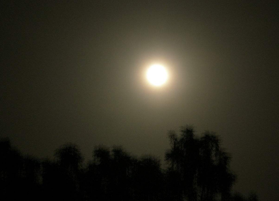 农村老人们经常讲的俗语，“人的命，天注定”这句话你怎么看?