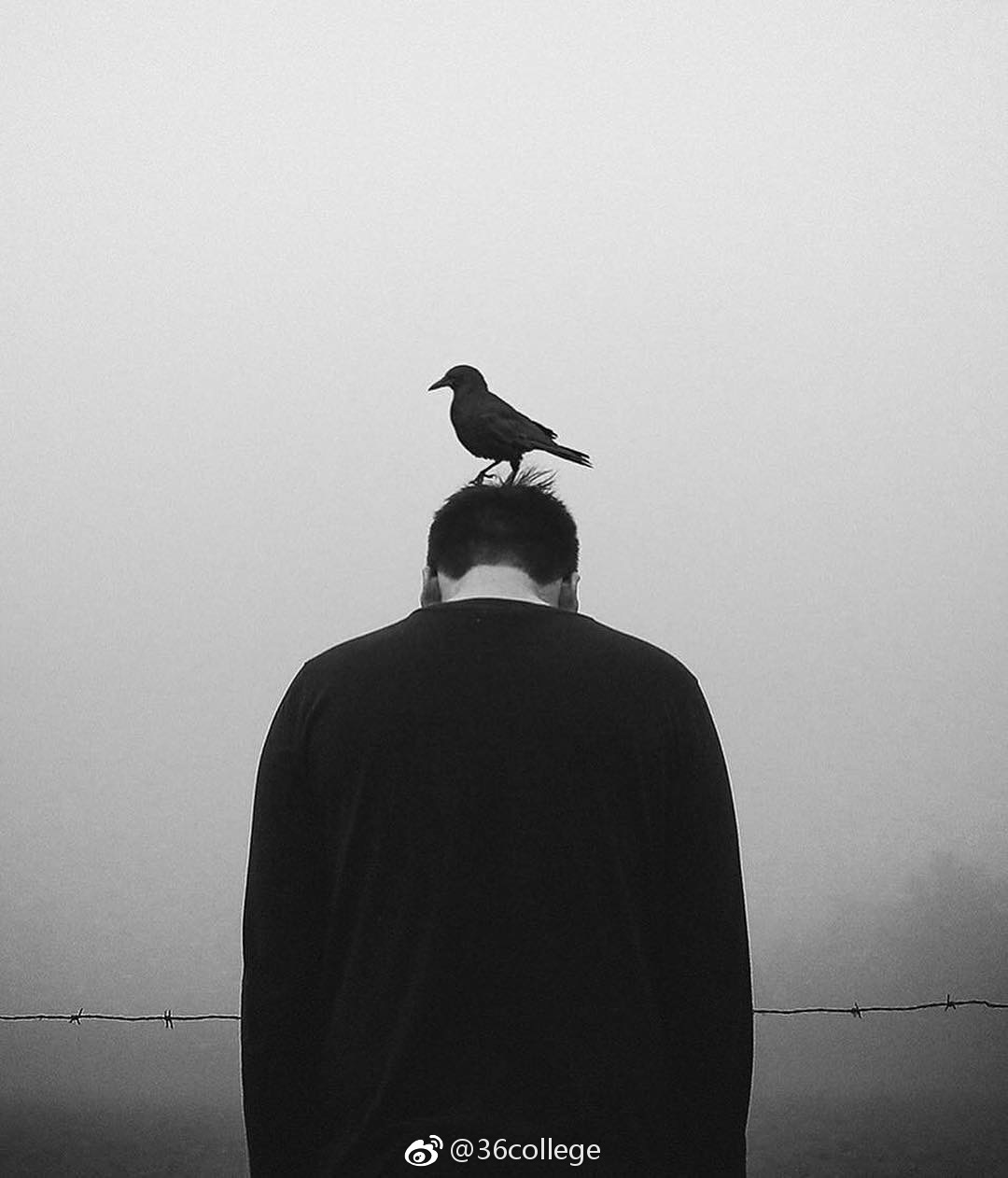 Gabriel Guerrero Caroca 2018年摄影作品回顾📷|摄影|作品_新浪新闻