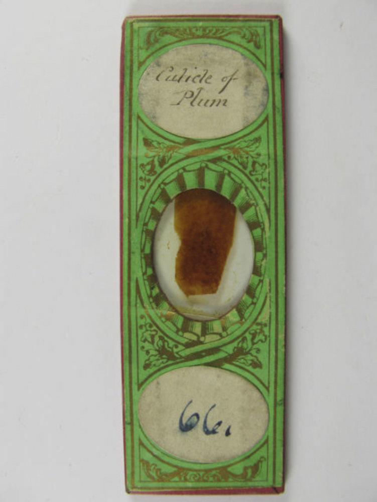 经典 ｜ 照片虚构了我的记忆——Susan Worsham|记忆|经典_新浪新闻