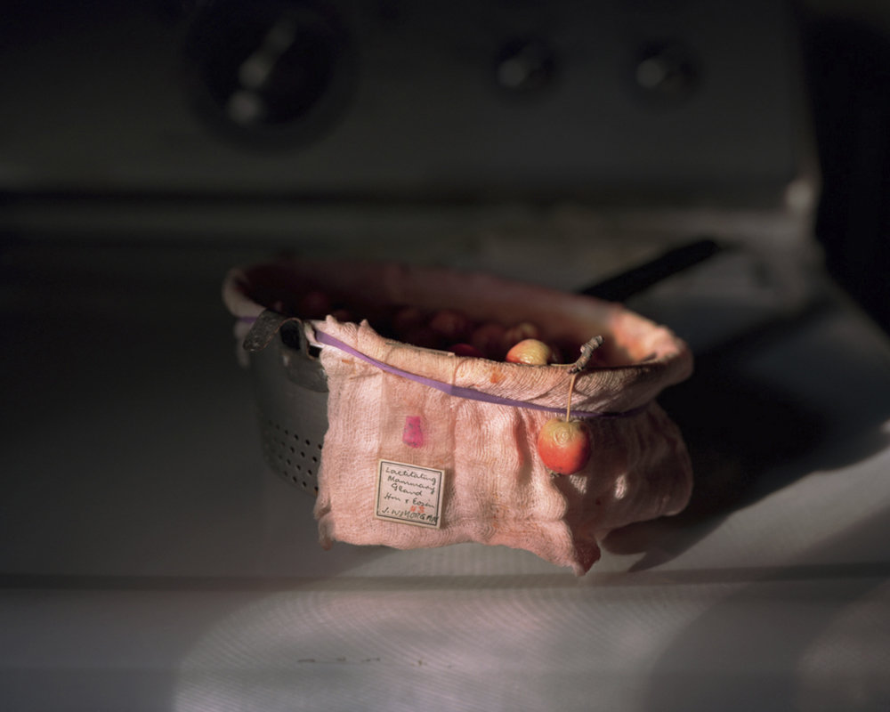 经典 ｜ 照片虚构了我的记忆——Susan Worsham|记忆|经典_新浪新闻