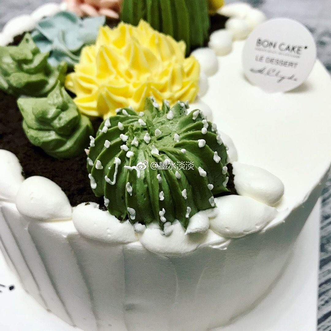 把春天的色彩装在蛋糕里终于拔草了bon cake@BONCAKE-新锐甜品专家