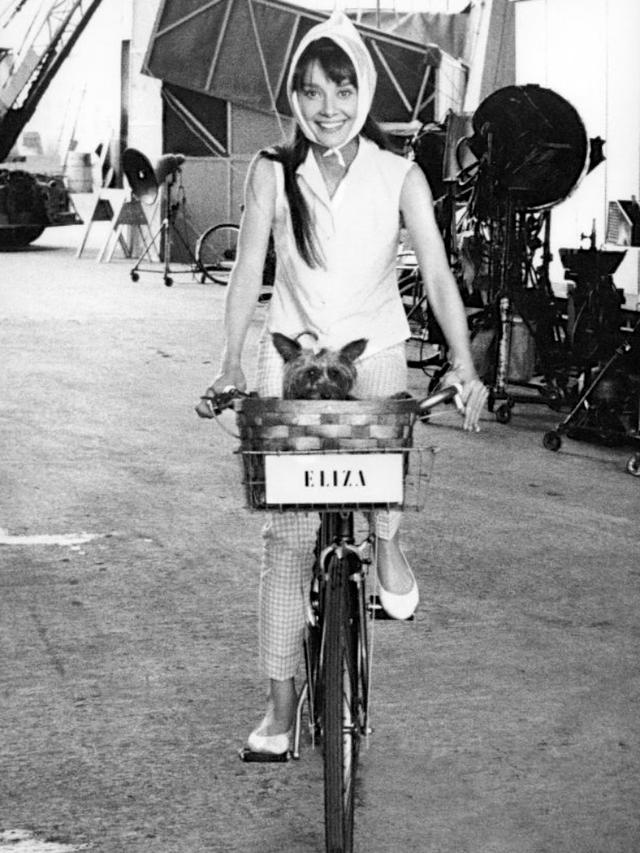 优雅的女人，奥黛丽·赫本与自行车|荷兰|奥黛丽·赫本|赫本_新浪新闻