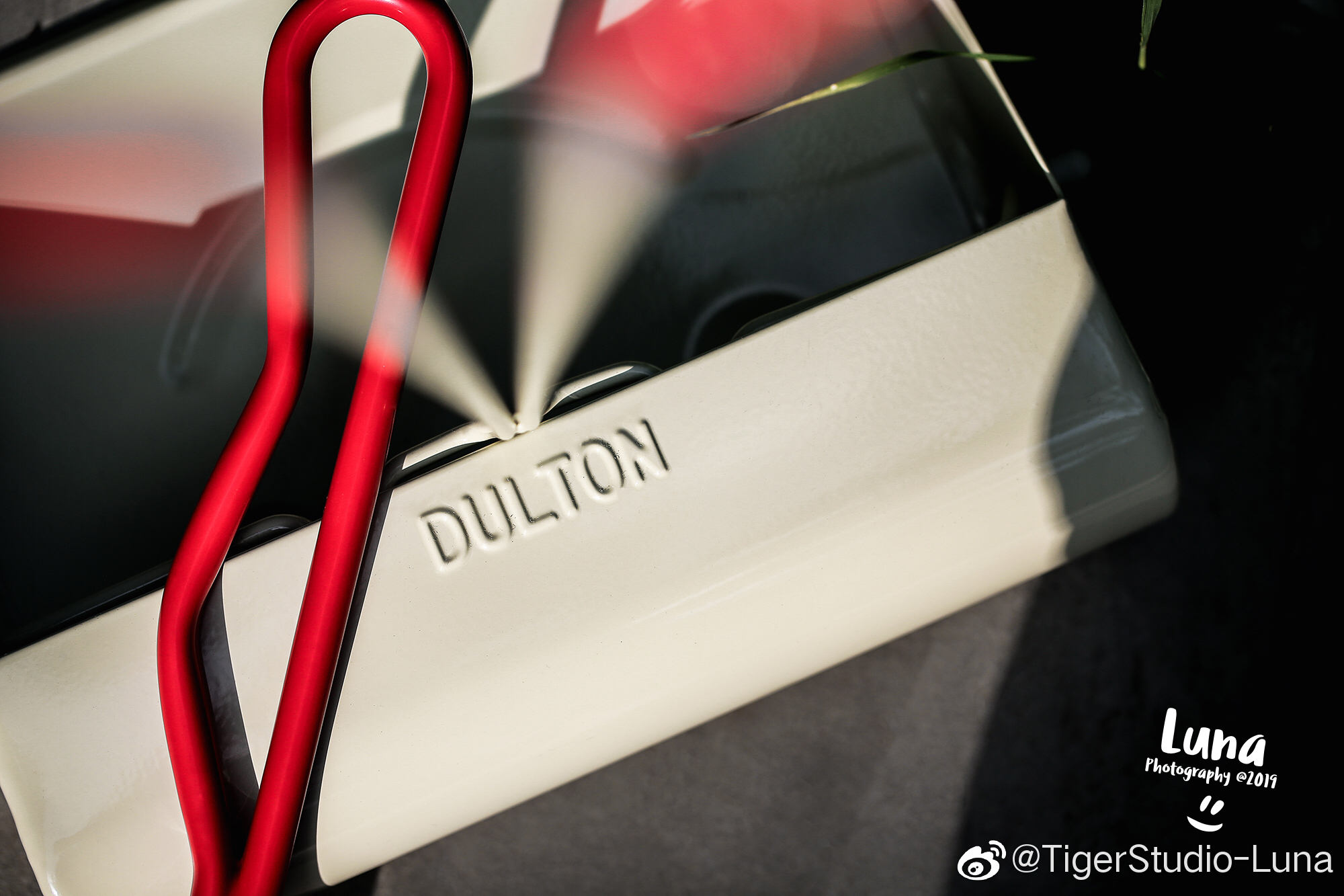 Dulton扫把买家秀。可爱颜值高@molly-飞机头