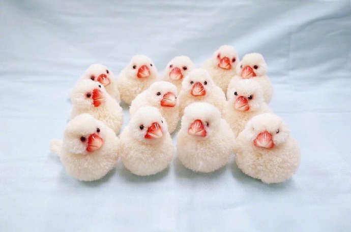 日本大师 trikotri 的羊毛毡作品 ,太可爱了~: trikotri