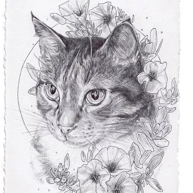 Neva Hosking 澳大利亚另类的方格纸艺术素描人物画