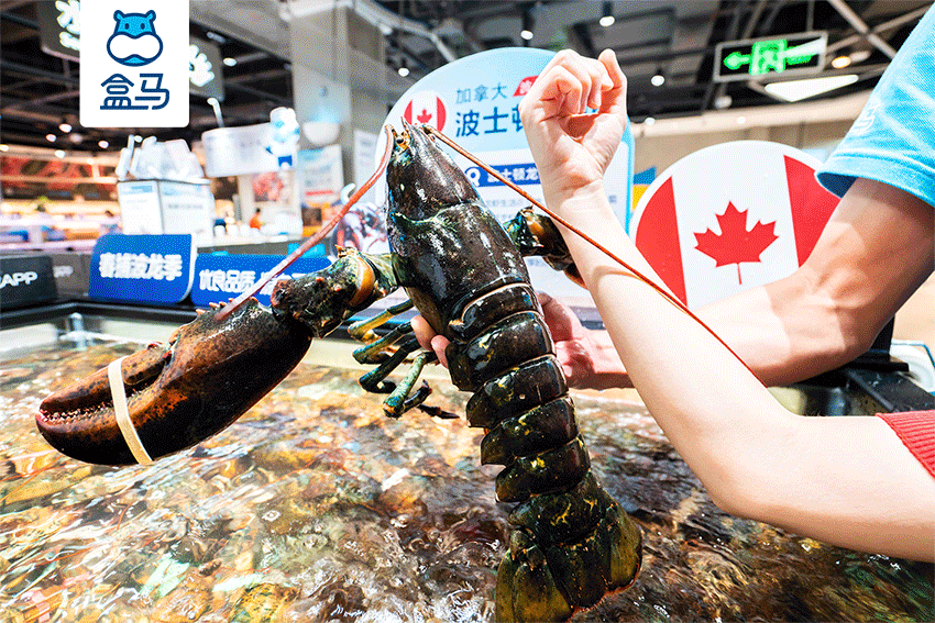 盒马鲜生广州第10店广武店盛大开业啦！8月1-4日四天狂欢|皇帝蟹|山王|促销期_新浪新闻