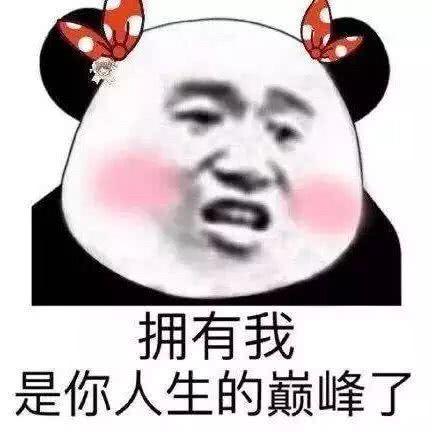表情包：拥有我，是你人生的巅峰了