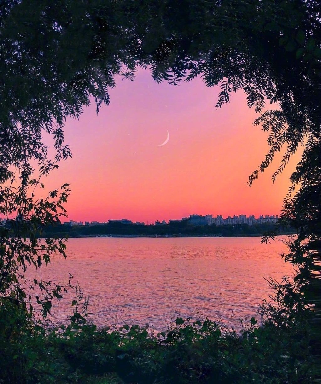 日落西山头，人约黄昏后。| ins _hello_dongwon|日落|山头_新浪新闻