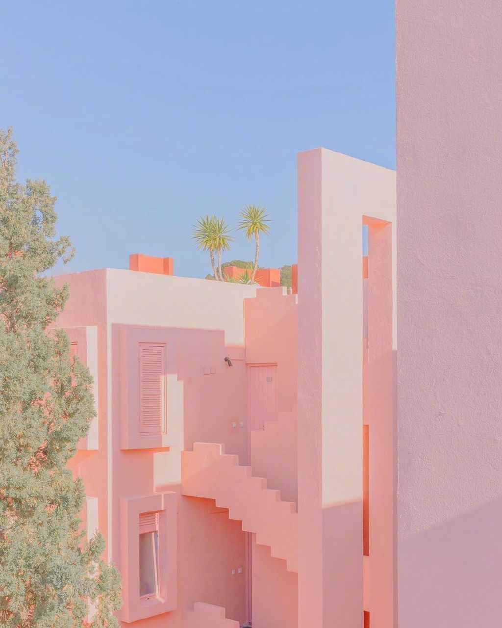 PINK SUMMER_新浪新闻