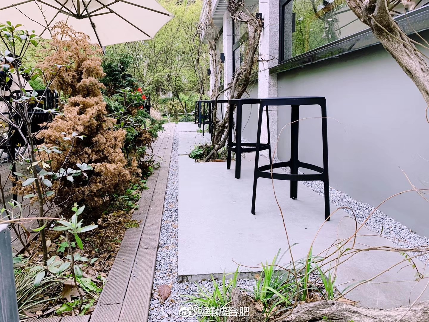 别人家的咖啡馆☞ 合肥｜ USTC UNILAB Cafe ꧂☞均价 ｜18左