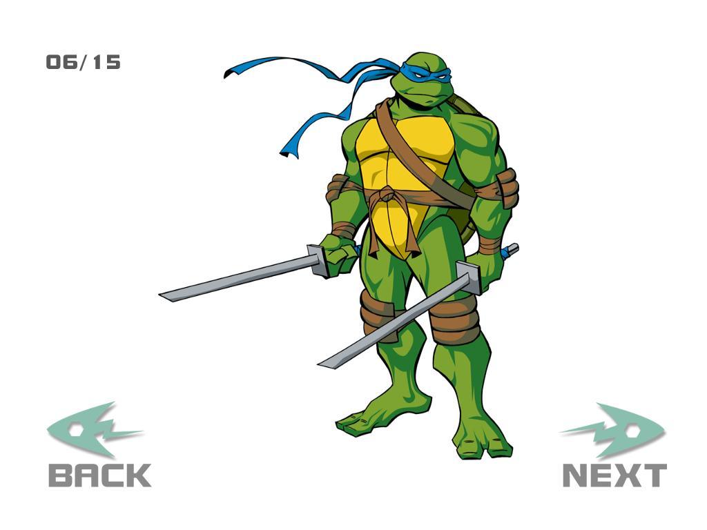 2003年2月8日《Teenage Mutant Ninja Turtles》主角