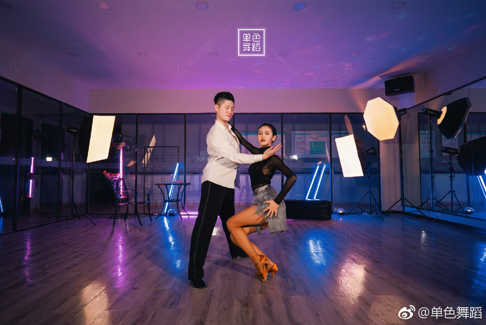 单色舞蹈（郑州）拉丁舞导师团队|拉丁舞|舞蹈|导师_新浪新闻