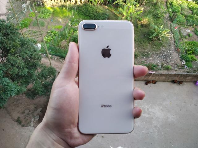 苹果A12+256GB，iPhone大屏跳水4300元，网友：买早了__财经头条