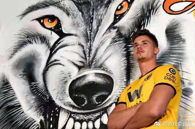 Wolves Ay We|狼队|赞助商|英超_新浪新闻