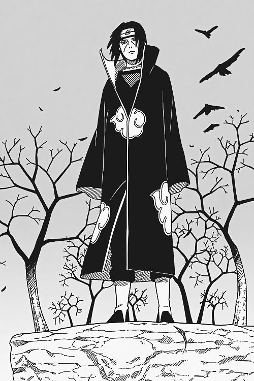 鼬尼桑漫画大图集合，我永远爱你！