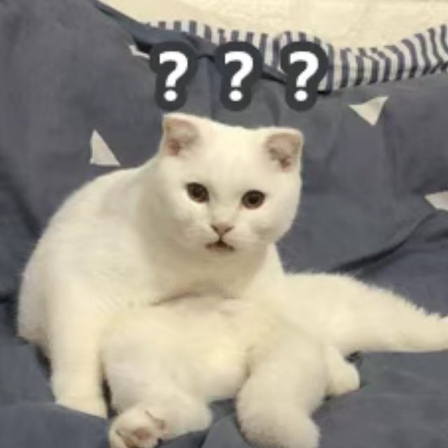 喵星人表情包572：委屈，不想理你！心满意足！腿蹬狗头！呆住|狗头|喵星人|表情包_新浪新闻