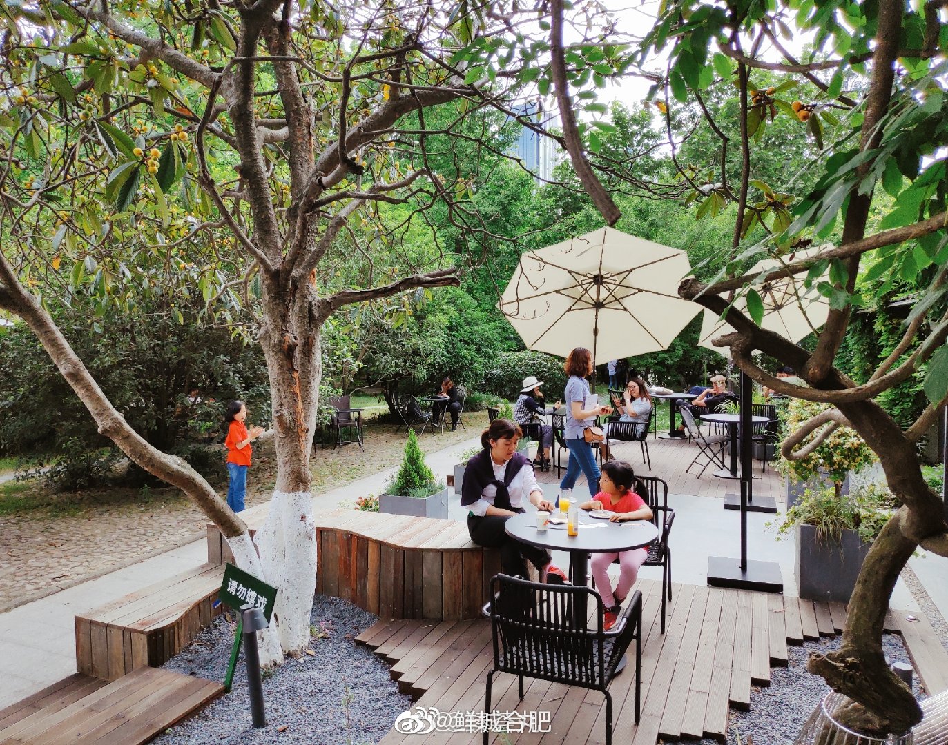 别人家的咖啡馆☞ 合肥｜ USTC UNILAB Cafe ꧂☞均价 ｜18左